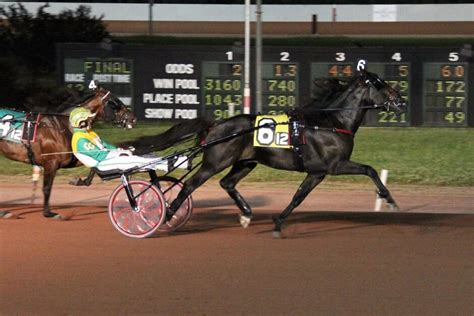 Googoo Gaagaa Stands In Sweden The Equiery
