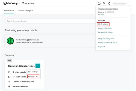 how to set up your custom domain cname record in godaddy