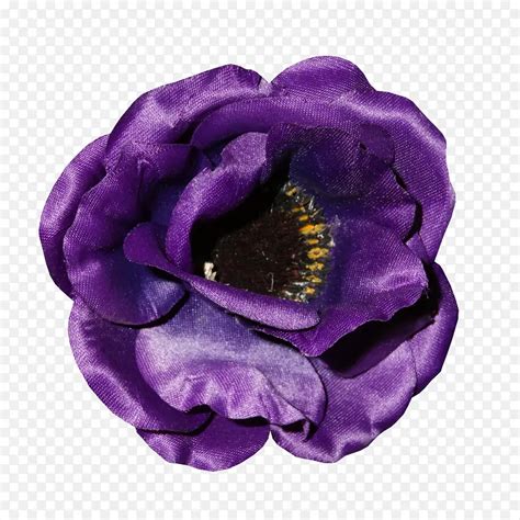 Png Png