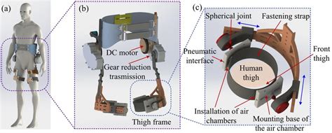 The 3d Model Of The Hip Joint Exoskeleton And The Soft Sensor System Download Scientific