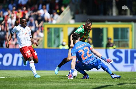 Calciomercato Ternana Un Mediano Di Esperienza Per I Rossoverdi