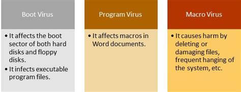 Class 7 Internet And Viruses Cyber Square