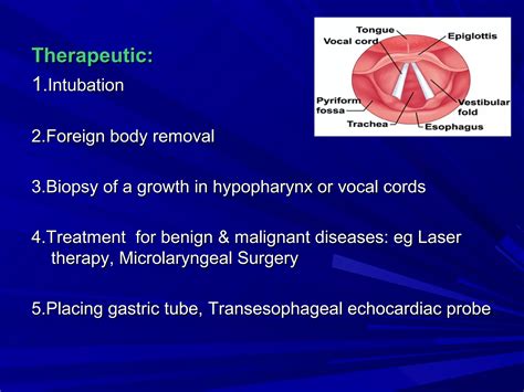Laryngoscopy Ppt Ear Nose And Throat Conditions Diseases And Conditions