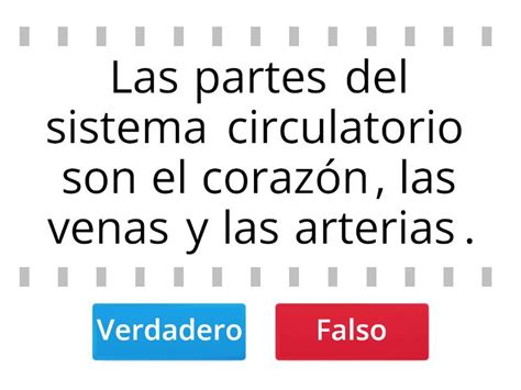 Sistema Circulatorio True Or False Sistema Circulatorio True Or False