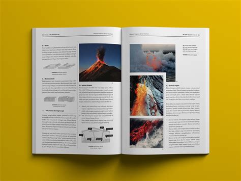 Detail Gambar Daun Tumbuhan Palmet Berlobus Koleksi Nomer 36