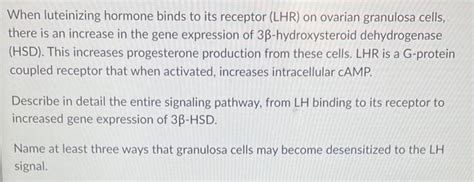 Solved When Luteinizing Hormone Binds To Its Receptor Lhr