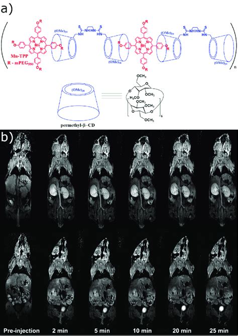 A Molecular Structure Of Mnii Tpp And Bridged Bispermethyl β Cds