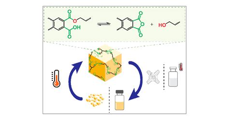 Internal Catalysis In Covalent Adaptable Networks Phthalate Monoester Transesterification As A