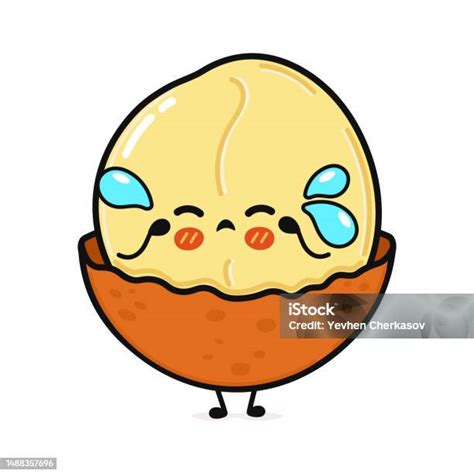 귀여운 울음 마카다미아 캐릭터 0명에 대한 스톡 벡터 아트 및 기타 이미지 0명 갈색 개념 Istock
