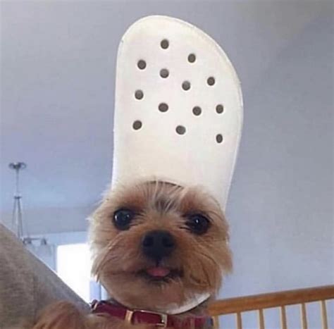 Dwarven Language Dwarven Realms And Culture The Lord Of The Craft