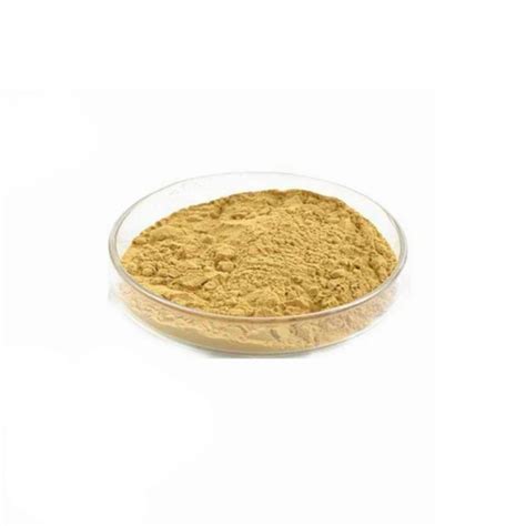 Semen Ginkgo Seed Ginkgo Biloba Extract Granular Extract Powder Ginkgo
