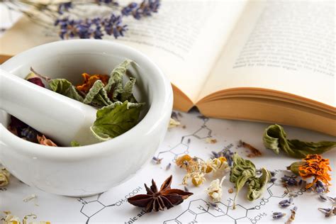 What Are Adaptogen And Nervine Herbs Living Alchemy Usa