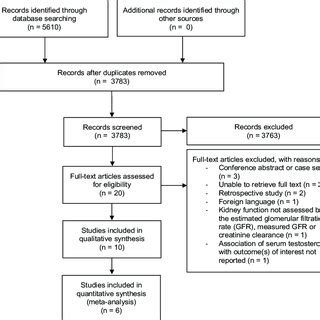 Flowchart Of The Study Selection Download Scientific Diagram