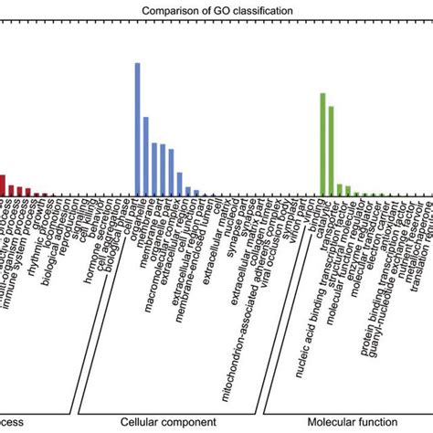 Gene Ontology Go Classification For The Predicted Target Genes Of