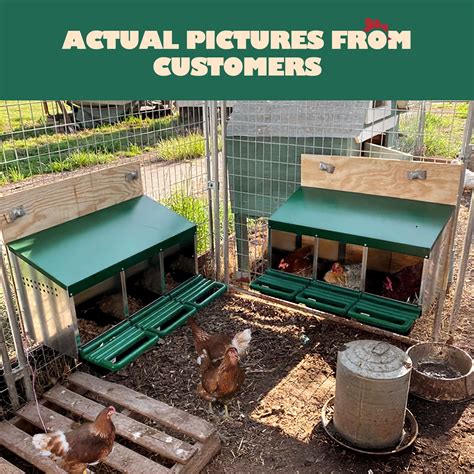 Chicken Nesting Box 3 Compartments Roll Away Hen Chook Laying Nest