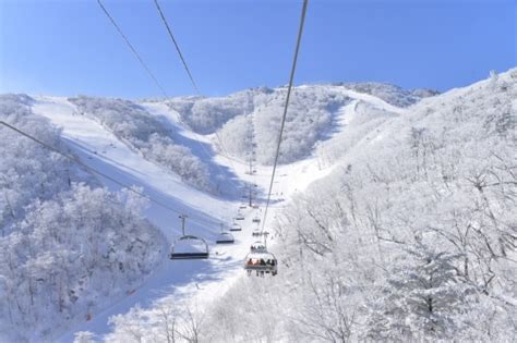 부영그룹 무주덕유산리조트 스키장 ‘동계시즌권 2차 특가 판매 Zum 뉴스