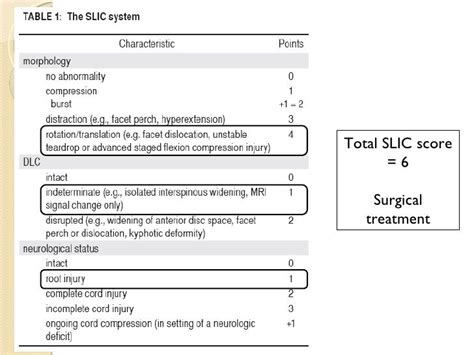 Slic System