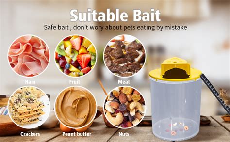 Amazon.com : Bucket Mouse Rat Trap Lid,Turnover & Slide Mouse mice ...
