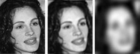 Figure 4 From Multi Distance Face Recognition Of Eye Localization With Modified Gaussian