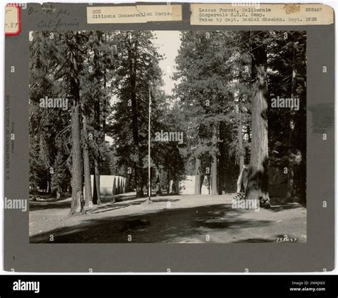 Civilian Conservation Corps Camps California Photographs Relating