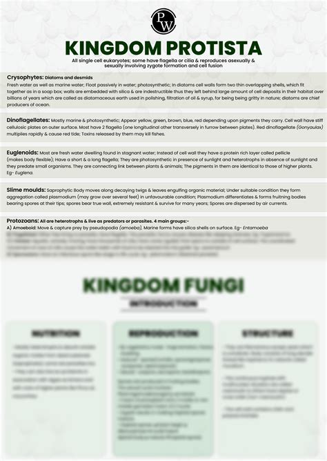 Solution Biological Classification Mind Maps Yakeen 2 0 2024 Legend