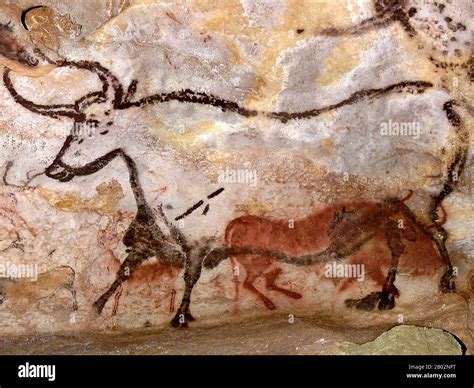 Paleolithic Art