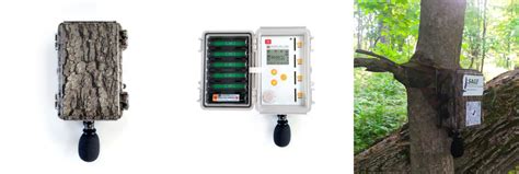 Monitoring Biodiversity Using Acoustic Data Sage