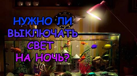 НУЖНО ЛИ ВЫКЛЮЧАТЬ СВЕТ НА НОЧЬ АКВАМЕН АНТИЛОПУХ Youtube