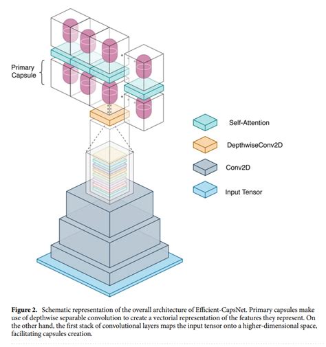 Capsule Networks Addressing Limitations Of Convolutional Neural