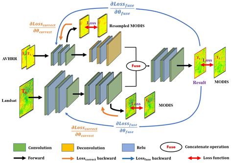 Developing A Multi Scale Convolutional Neural Network For