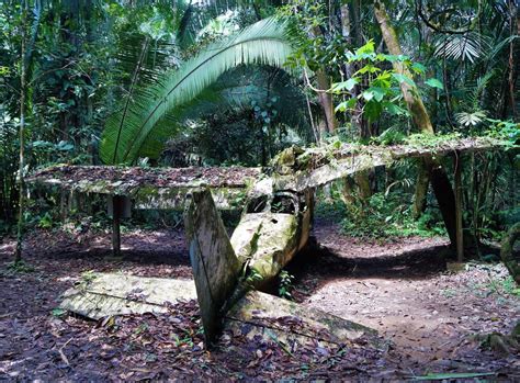 Cockscomb Basin Wildlife Sanctuary And Jaguar Preser In Belize Belize