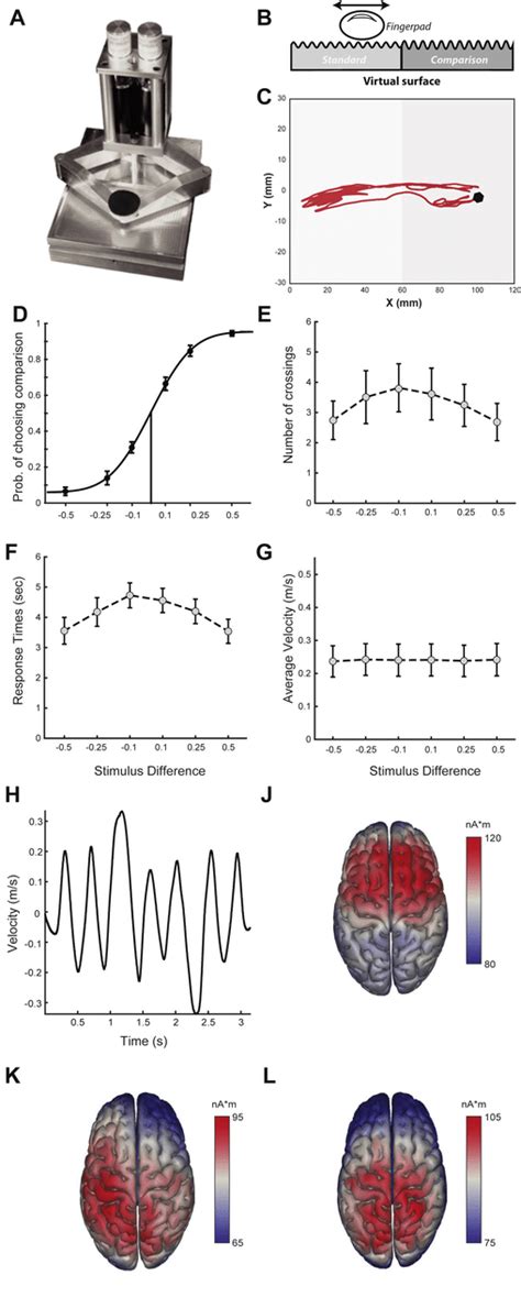 Experimental Design Behavioral Results And Principal Components Of EEG Download Scientific