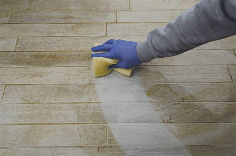 LITOCLEAN EVO Surface cleaning product By Litokol