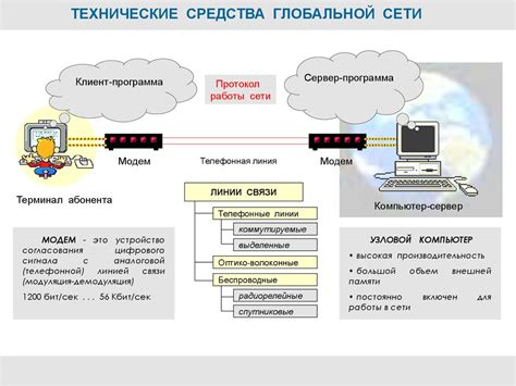 Компьютерные сети виды структура принципы функционирования