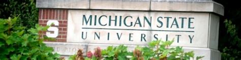 veda kumar reddy lakdaram teaching assistant i michigan state