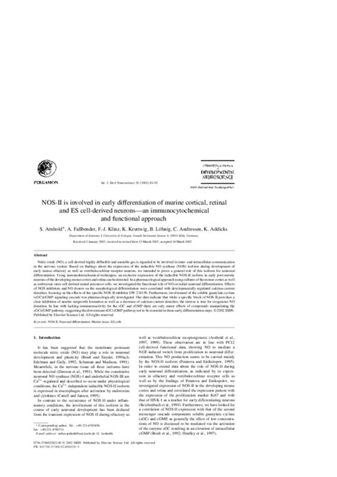 Pdf Nos‐ii Is Involved In Early Differentiation Of Murine Cortical