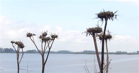 INVENTIVAsocial NADA DE ESTO TE DICE EL RÍO