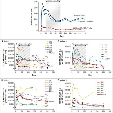 Ccr5 Modified Cd4 T Cells During Treatment Interruption Download