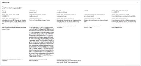 Kubernetes生产实践系列之二十五：servicemesh之linkerd Proxy的流量劫持详细分析linkerd Proxy Csdn博客