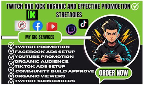 Do Undefined Twitch Overlay Stream Overlay To Attract Maximum Audience By Fawasa Fiverr