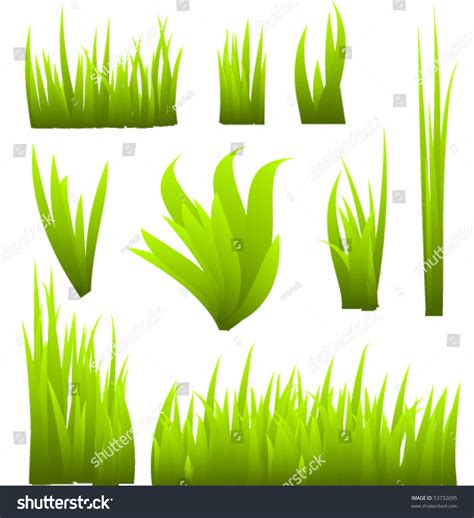 Vector Grass Elements 53732095 Shutterstock