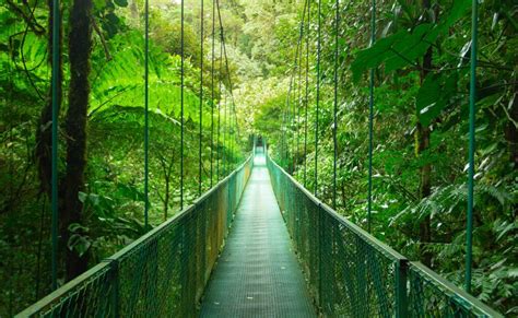 15 Best Hotels In Monteverde Costa Rica Pura Vida Moms