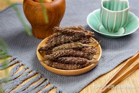 夏枯草搭配一物，可化一身结节，囊肿，息肉，增生，肌瘤皆可用 哔哩哔哩