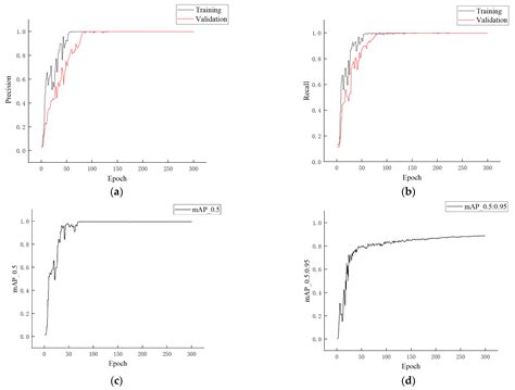 Applied Sciences Free Full Text Underwater Sea Cucumber Identification Based On Improved Yolov5