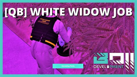 Qbcore White Widow Job Script V11 Fivem Roleplay Scripts Boii