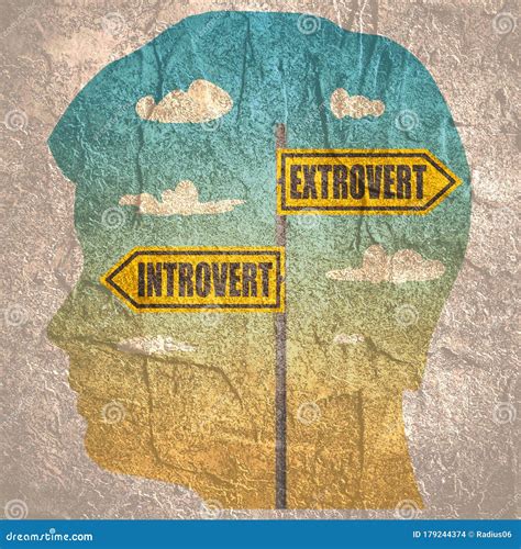 Introvert And Extrovert Silhouette Head Vector Illustration
