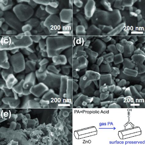 Sem Studies Of Zno Surface Modification A Clean Zno Nanopowder B