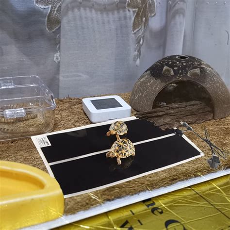 Нагревател за терариум 20w Reptile Maks 28cm X 42cm контрол на температурата черен Emag Bg