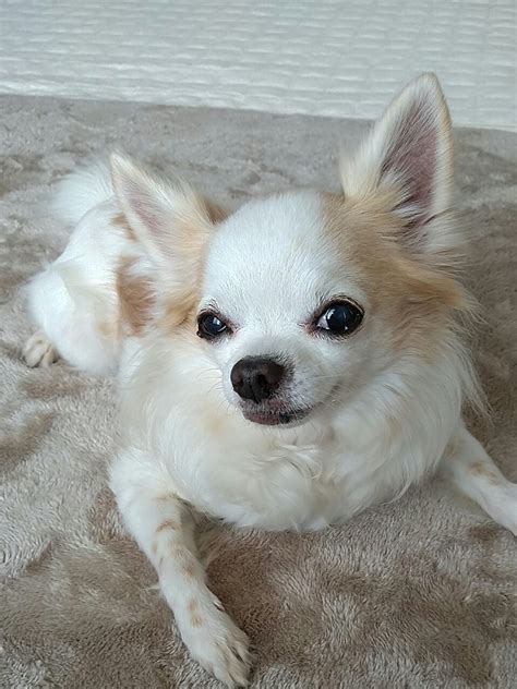 裸族希望 ぽんのブログ