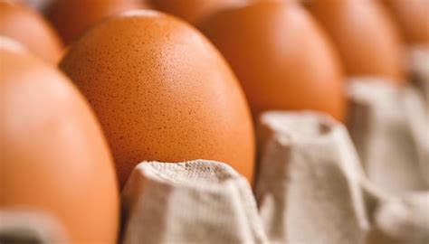 Você sabia que o ovo é um dos alimentos mais completos Invisto em Mim